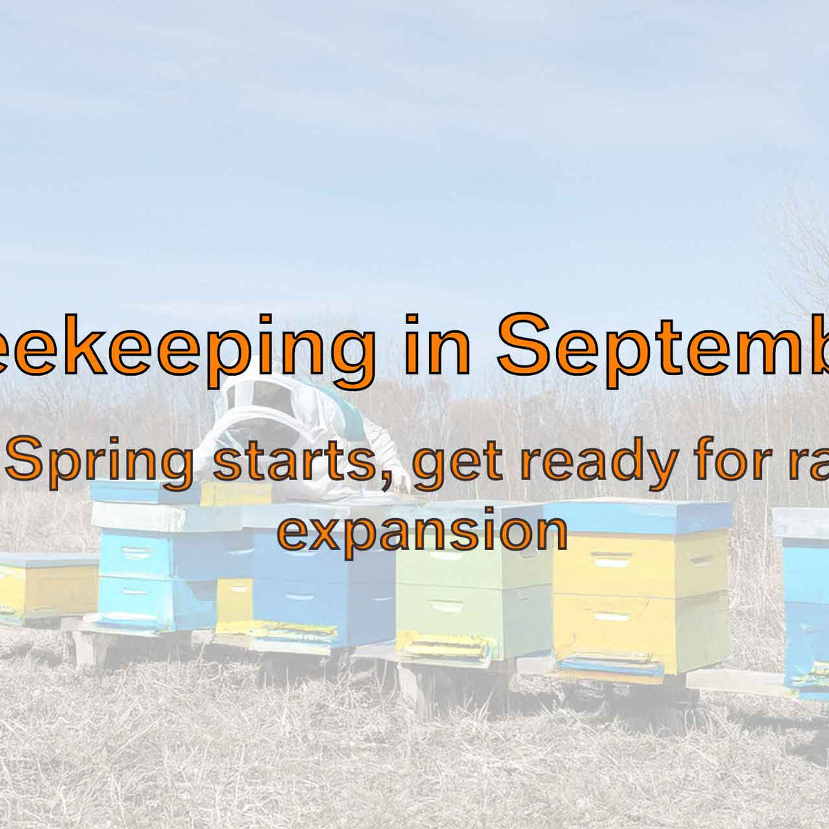 Beekeeping Tips for September in Australia – Buzzbee Beekeeping