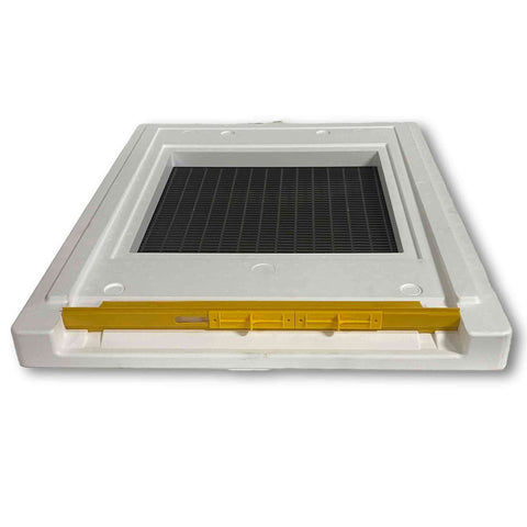 Paradise Honey 10 Frame Queen Trap System – Buzzbee Beekeeping