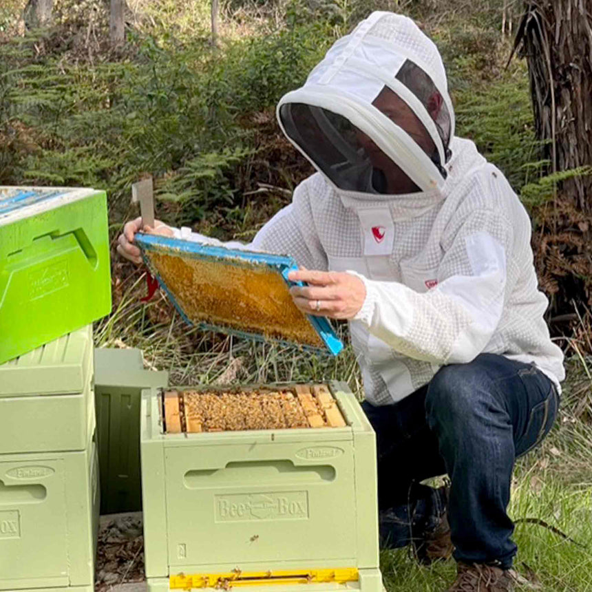 Paradise Honey Polystyrene Beehives | Buy Poly Bee Hives | Buzzbee ...