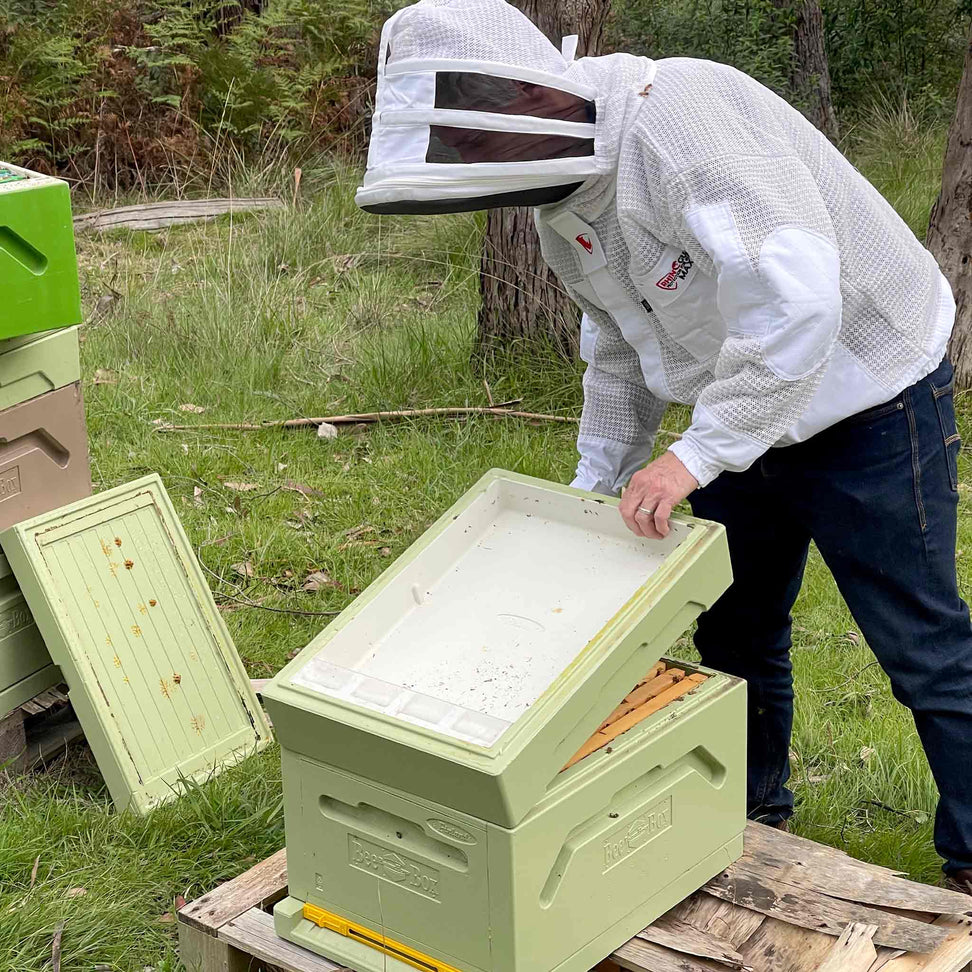 Paradise Honey Polystyrene Beehives | Buy Poly Bee Hives | Buzzbee ...