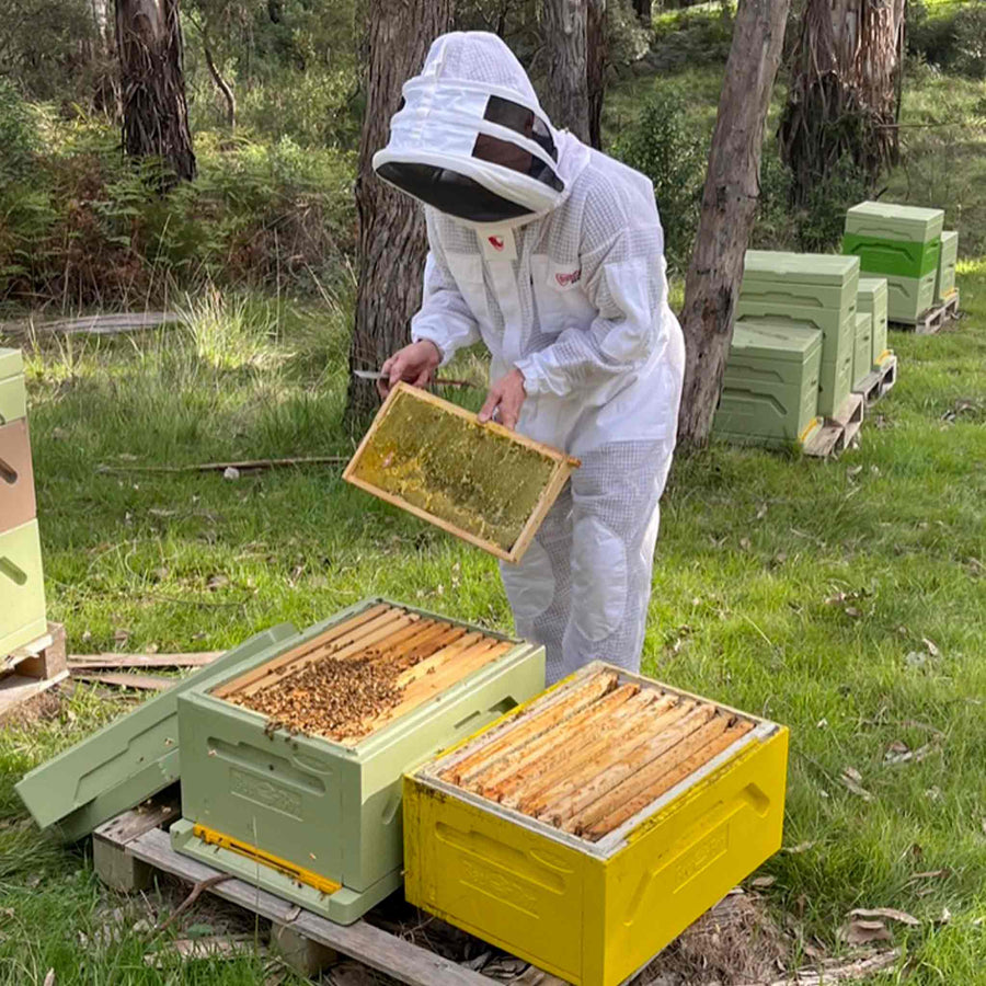 All Paradise Honey Complete Beehives – Buzzbee Beekeeping