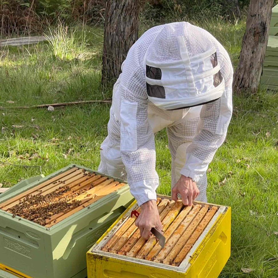 Paradise Honey Polystyrene Beehives | Buy Poly Bee Hives | Buzzbee ...