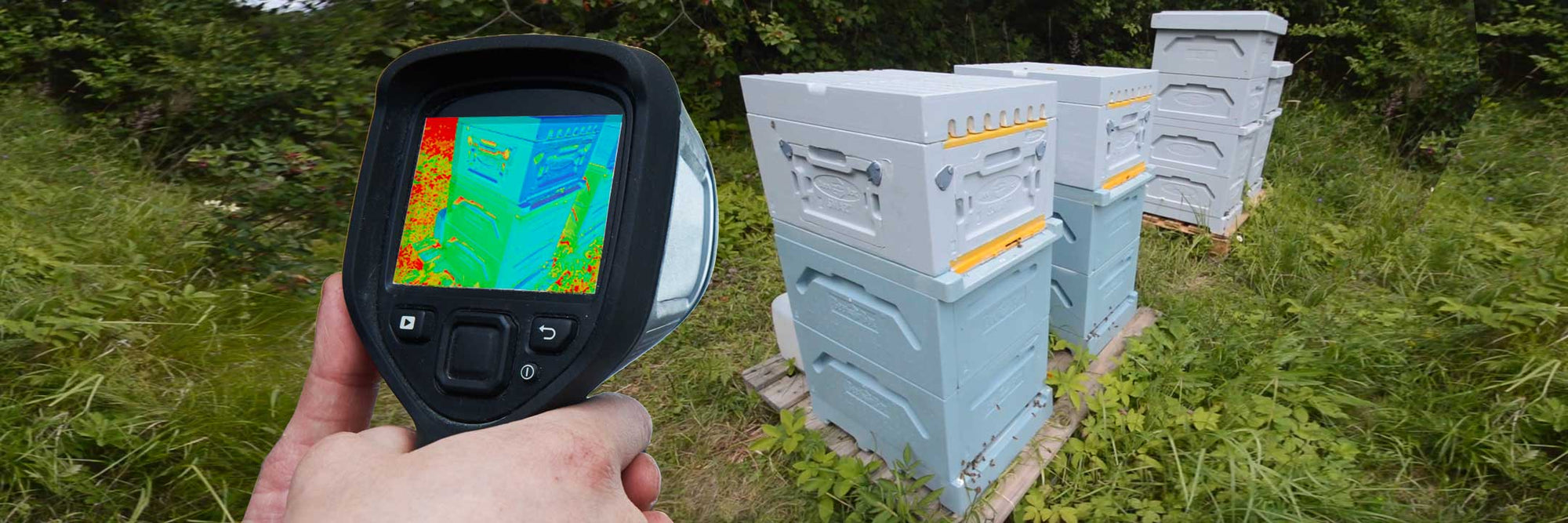 Paradise Honey EPS Polystyrene (Poly) Beehives | Buzzbee Beekeeping