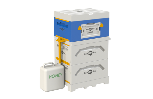 Paradise Honey EPS Polystyrene (Poly) Beehives | Buzzbee Beekeeping