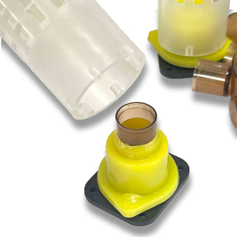 NICOT Queen Cell Cups for Breeding Queen Bees – Buzzbee Beekeeping