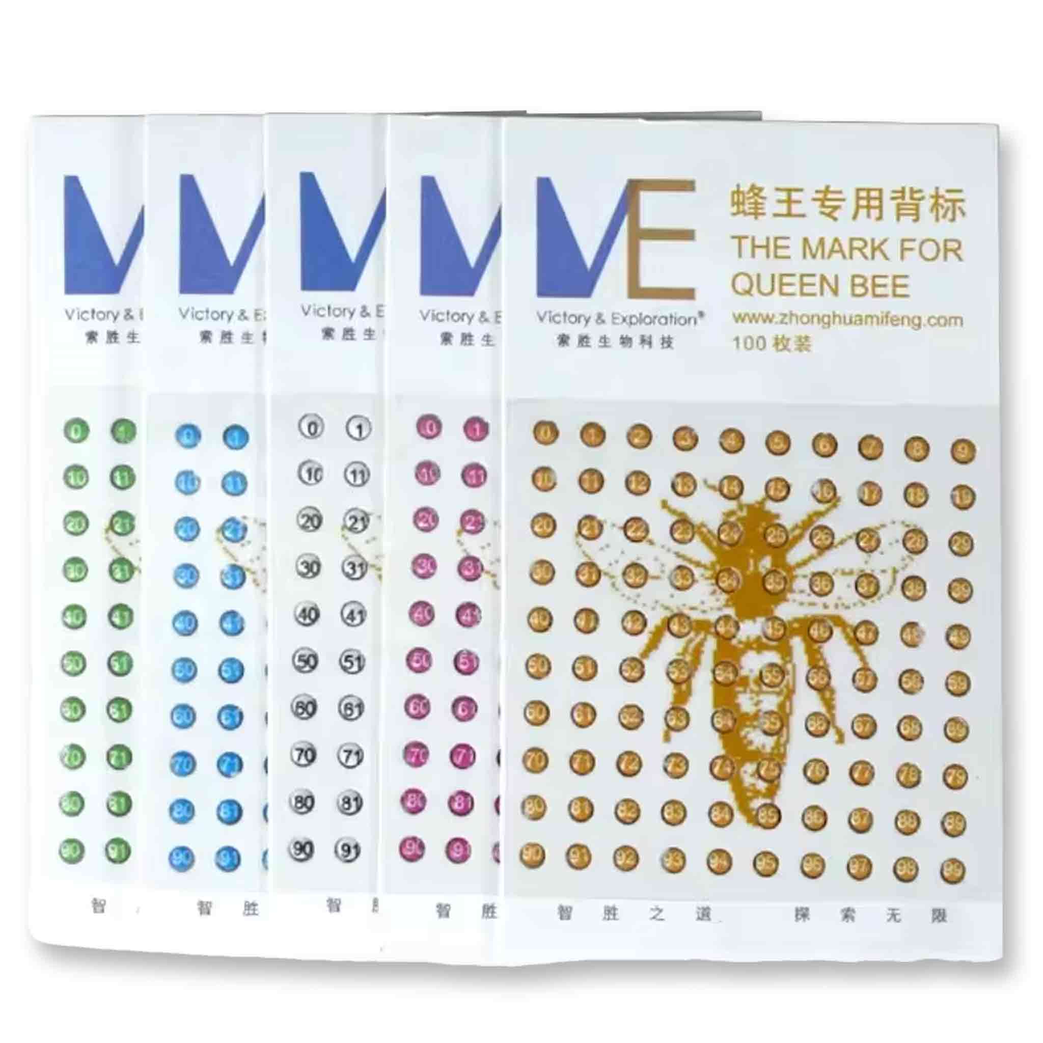 Queen Bee Marking | Buzzbee Beekeeping