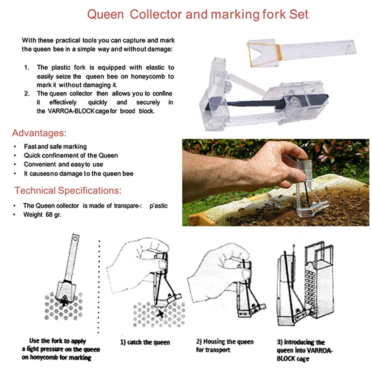 Queen Bee Isolation Cage for Forcing Brood Breaks for Varroa Treatments ...