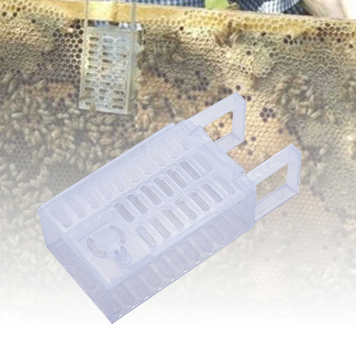 Queen Bee Isolation Cage for Forcing Brood Breaks for Varroa Treatments ...