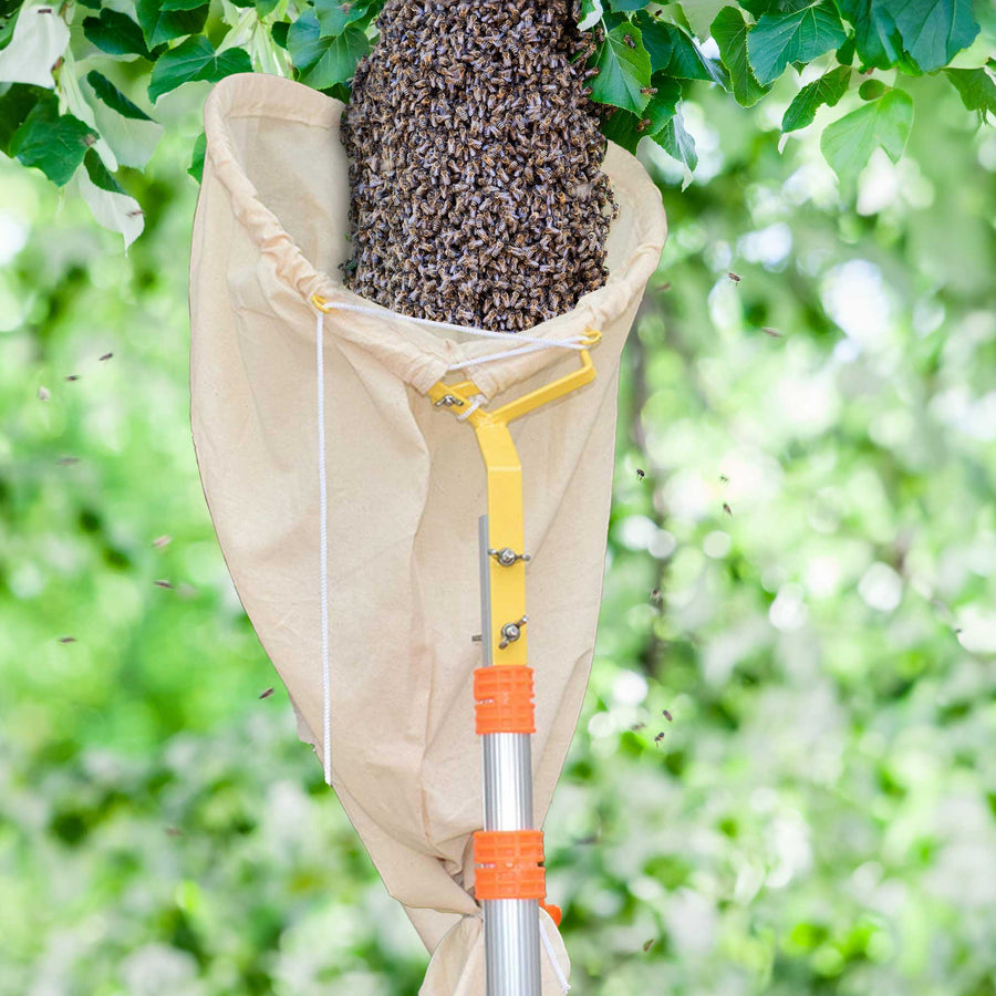 Bee Swarm Catcher with Telescopic Extension Pole – Buzzbee Beekeeping