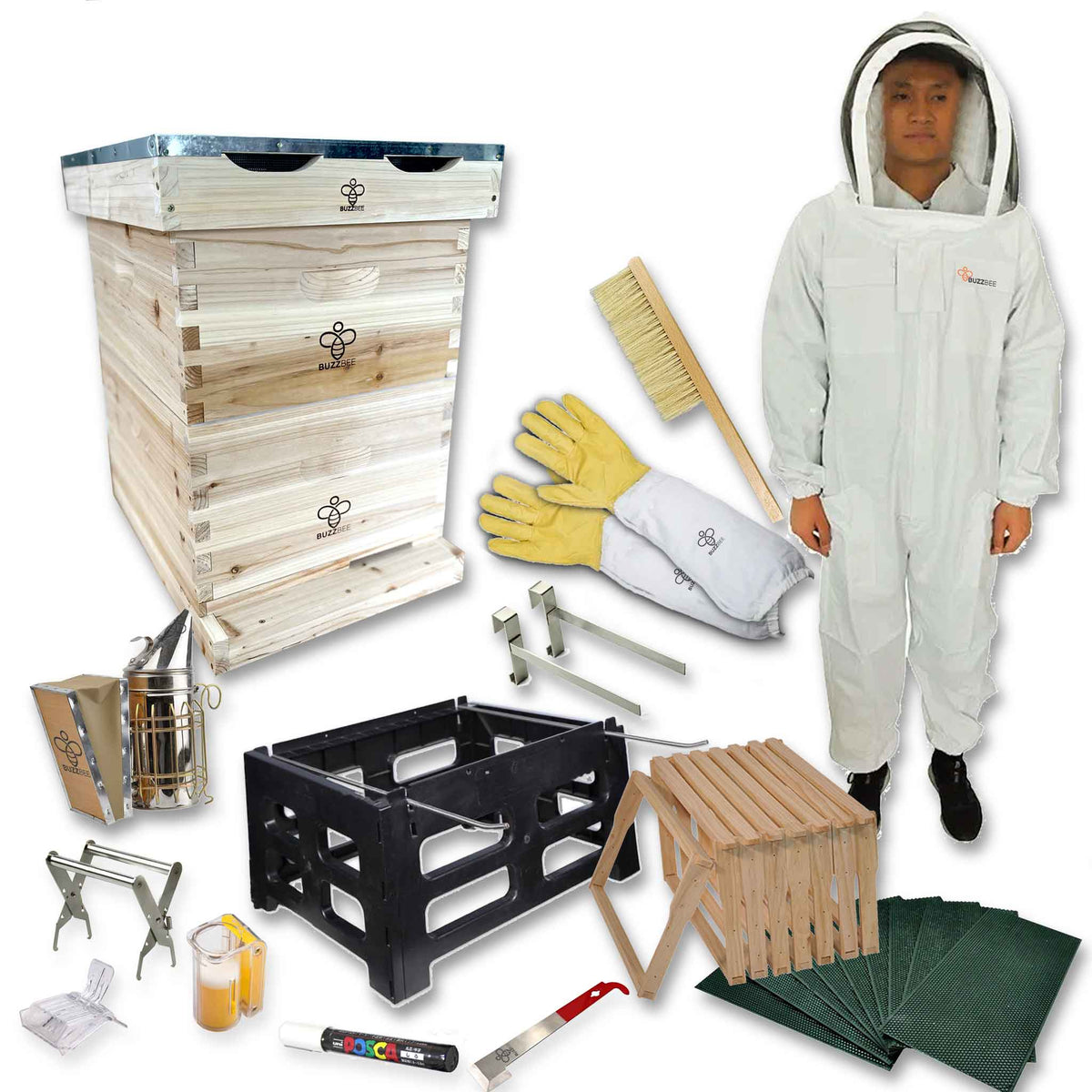 Basic PLUS 8 Frame Langstroth Beekeeping Starter Package – Buzzbee ...