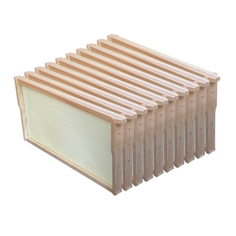 Deep Beekeeping Frame Kits with Wax or Plastic Foundation – Buzzbee ...
