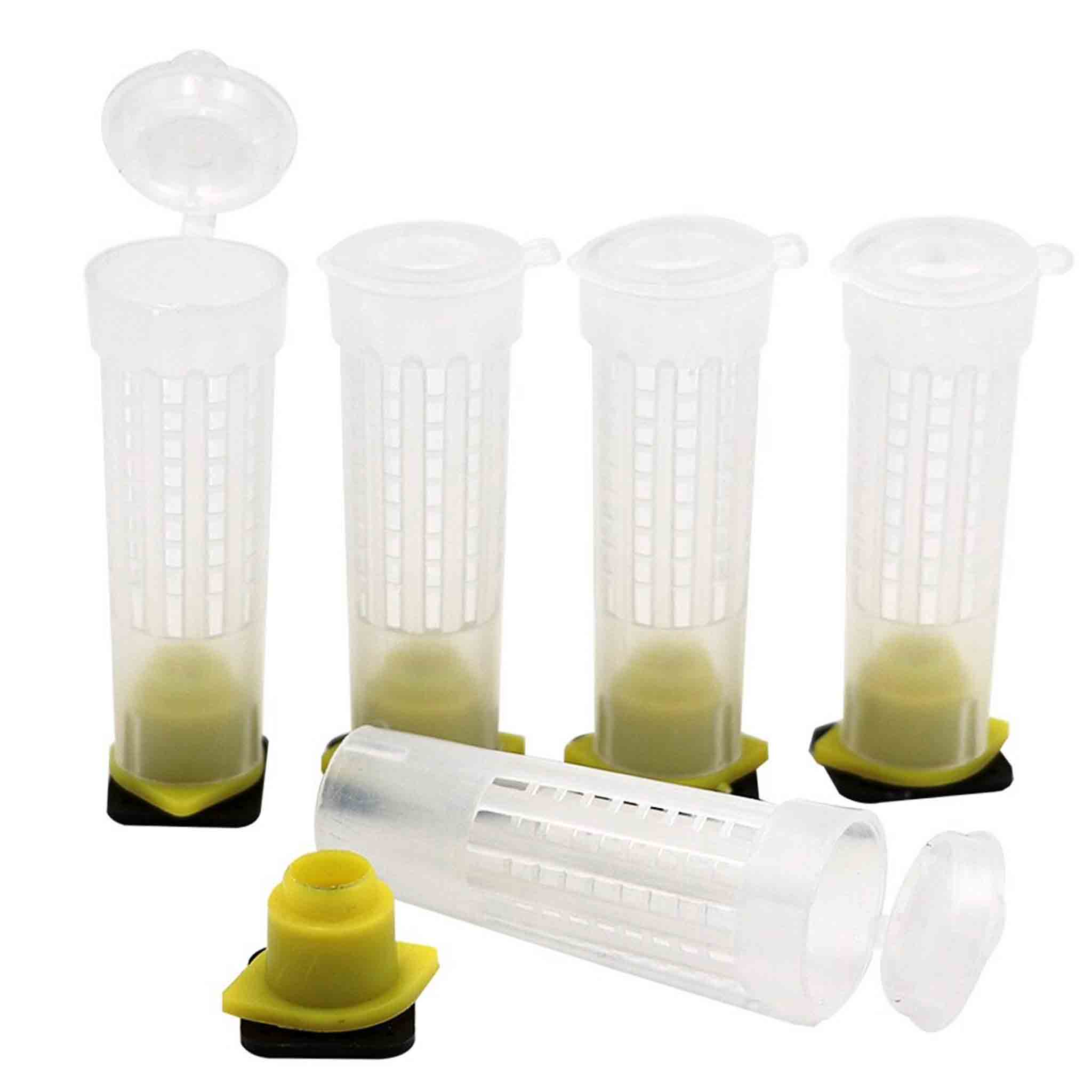 NICOT Queen Bee Cell Protector with Cell Cup Holders | Buzzbee Beekeeping