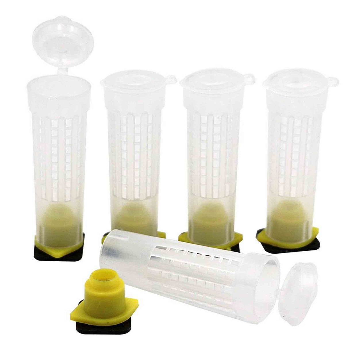 NICOT Queen Bee Cell Protector with Cell Cup Holders – Buzzbee Beekeeping