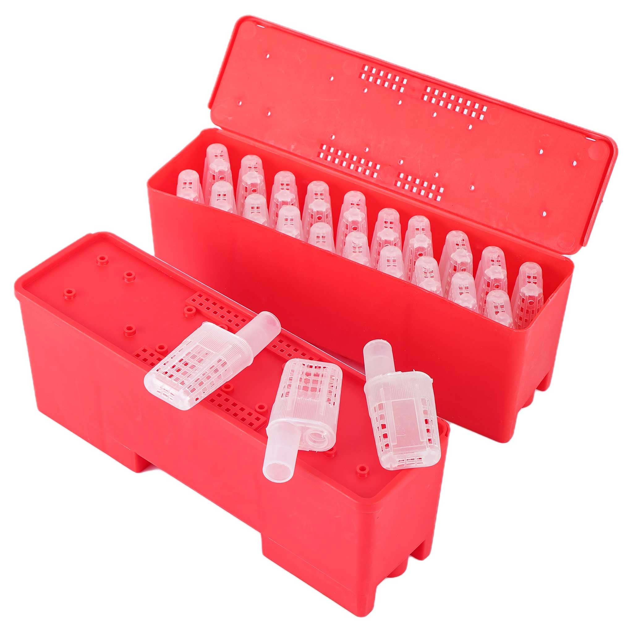 Queen Bee Battery Multi-cage Holder including 20 Cages | Buzzbee Beekeeping